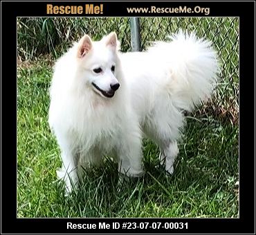 - Nebraska Dog Rescue - ADOPTIONS - Rescue Me!