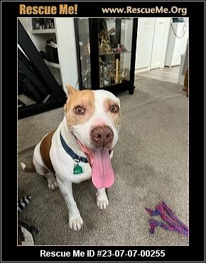 - Oregon Dog Rescue - ADOPTIONS - Rescue Me!