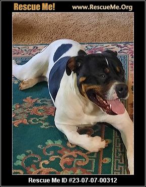 - Mississippi Dog Rescue - ADOPTIONS - Rescue Me!