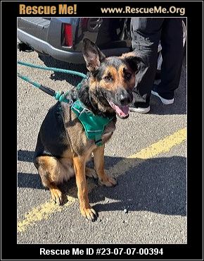 - Oregon Dog Rescue - ADOPTIONS - Rescue Me!