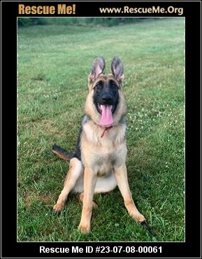 - Pennsylvania German Shepherd Rescue - ADOPTIONS - Rescue Me!