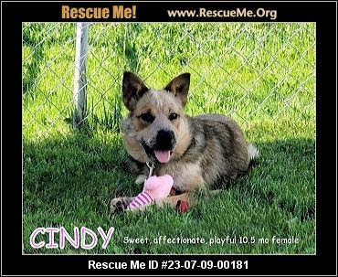 - Idaho Dog Rescue - ADOPTIONS - Rescue Me!