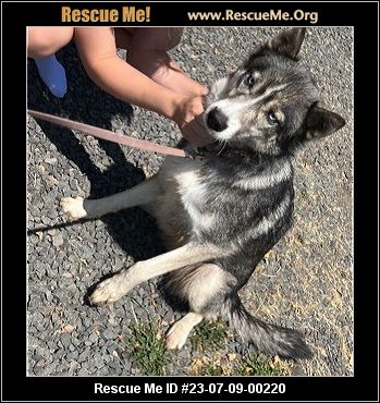 - Oregon Dog Rescue - ADOPTIONS - Rescue Me!