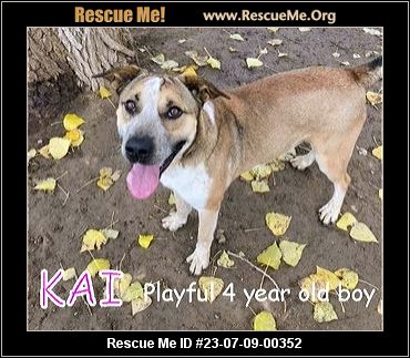 - Idaho Dog Rescue - ADOPTIONS - Rescue Me!