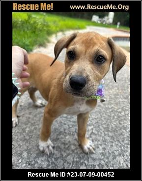 - Wisconsin Dog Rescue - ADOPTIONS - Rescue Me!