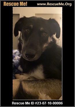 - Utah Dog Rescue - ADOPTIONS - Rescue Me!