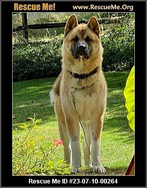 - Pennsylvania Akita Rescue - ADOPTIONS - Rescue Me!