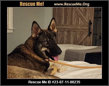 - Oregon Dog Rescue - ADOPTIONS - Rescue Me!