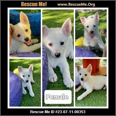 - New Jersey Dog Rescue - ADOPTIONS - Rescue Me!