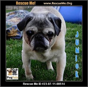 - Idaho Dog Rescue - ADOPTIONS - Rescue Me!