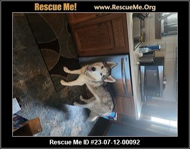 - Ohio Siberian Husky Rescue - ADOPTIONS - Rescue Me!