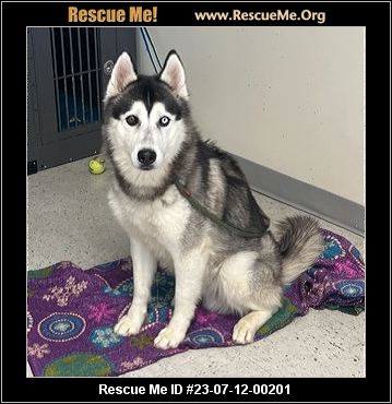 - Utah Dog Rescue - ADOPTIONS - Rescue Me!