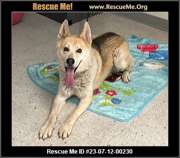- Utah Dog Rescue - ADOPTIONS - Rescue Me!