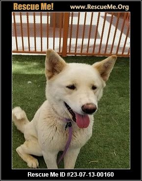 - Nevada Dog Rescue - ADOPTIONS - Rescue Me!
