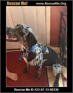 - Minnesota Dog Rescue - ADOPTIONS - Rescue Me!