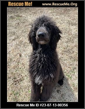 - Kansas Dog Rescue - ADOPTIONS - Rescue Me!