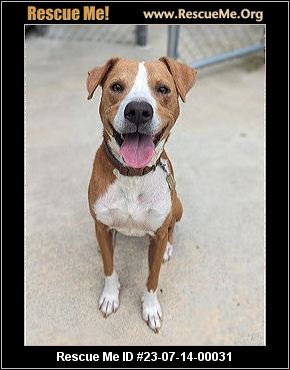 - Virginia Treeing Walker Coonhound Rescue - ADOPTIONS - Rescue Me!
