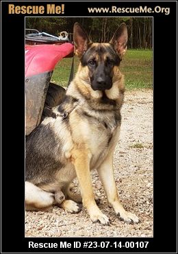 - Alabama Dog Rescue - ADOPTIONS - Rescue Me!