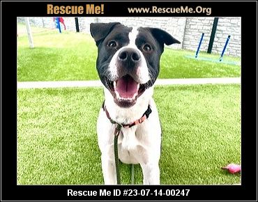 - Utah Dog Rescue - ADOPTIONS - Rescue Me!