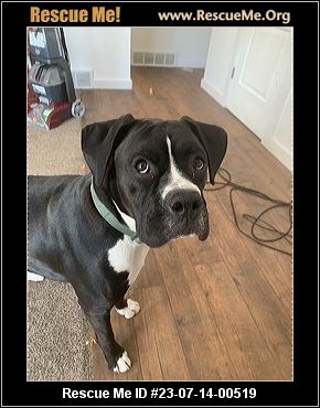 - Utah Dog Rescue - ADOPTIONS - Rescue Me!