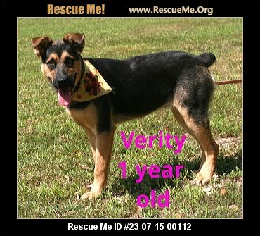 - Alabama Dog Rescue - ADOPTIONS - Rescue Me!