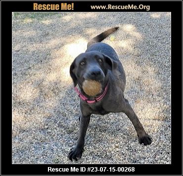 - Wisconsin Dog Rescue - ADOPTIONS - Rescue Me!
