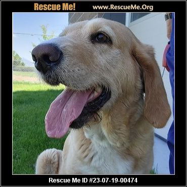 - Utah Dog Rescue - ADOPTIONS - Rescue Me!