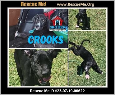 - Oklahoma Dog Rescue - ADOPTIONS - Rescue Me!
