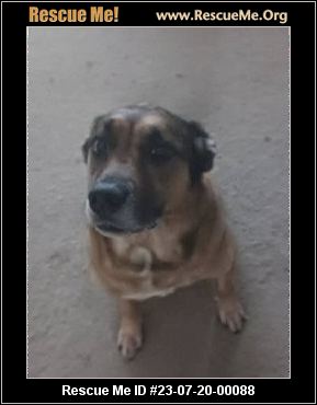 - Alabama Dog Rescue - ADOPTIONS - Rescue Me!