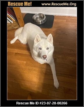- Ohio Siberian Husky Rescue - ADOPTIONS - Rescue Me!