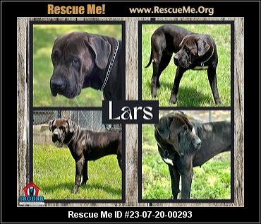 - West Virginia Dog Rescue - ADOPTIONS - Rescue Me!