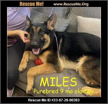 - Idaho Dog Rescue - ADOPTIONS - Rescue Me!