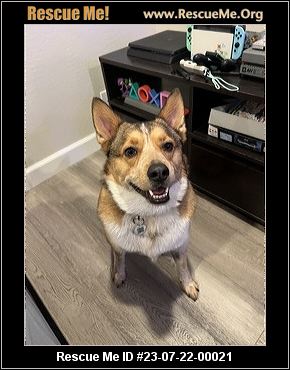 - California Corgi Rescue - ADOPTIONS - Rescue Me!