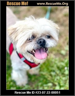 - New York Dog Rescue - ADOPTIONS - Rescue Me!