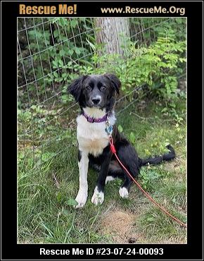 - Wisconsin Dog Rescue - ADOPTIONS - Rescue Me!