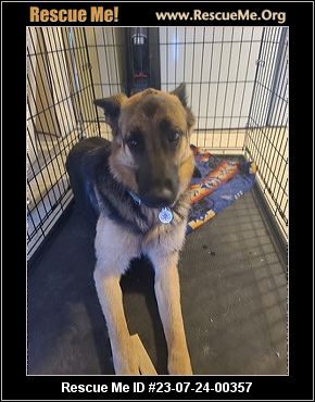 - Nevada Dog Rescue - ADOPTIONS - Rescue Me!
