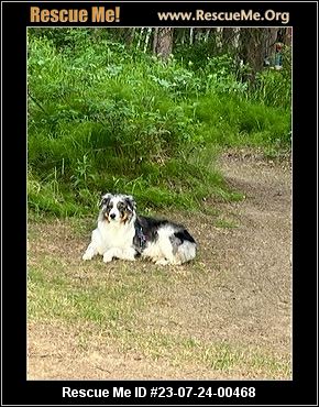 - Alaska Dog Rescue - ADOPTIONS - Rescue Me!