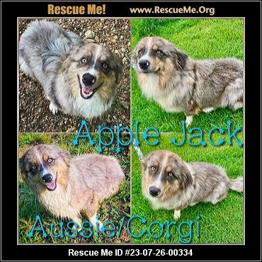 - Arkansas Dog Rescue - ADOPTIONS - Rescue Me!