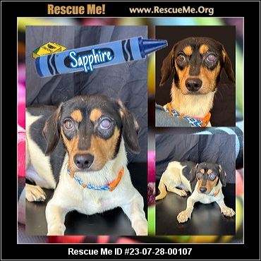 - Pennsylvania Dog Rescue - ADOPTIONS - Rescue Me!