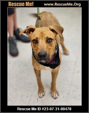 - Oregon Dog Rescue - ADOPTIONS - Rescue Me!
