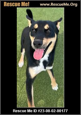 - Texas Rottweiler Rescue - ADOPTIONS - Rescue Me!