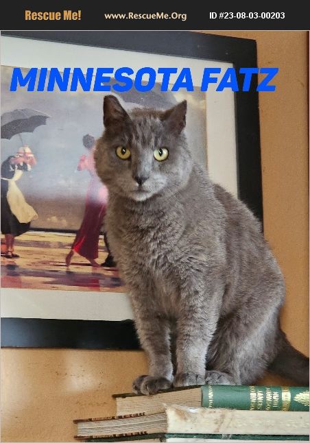 ADOPT 23080300203 ~ Russian Blue Rescue ~ Acton, CA