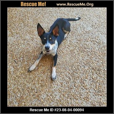 - Mississippi Dog Rescue - ADOPTIONS - Rescue Me!