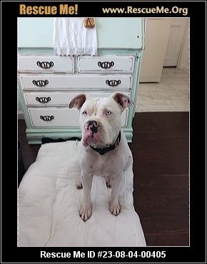- California Pit Bull Rescue - ADOPTIONS - Rescue Me!