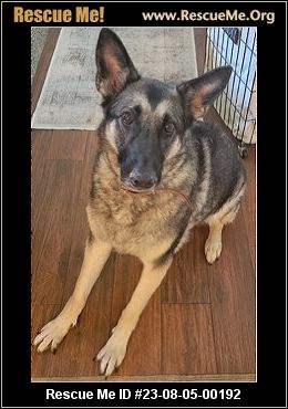 - Colorado German Shepherd Rescue - ADOPTIONS - Rescue Me!