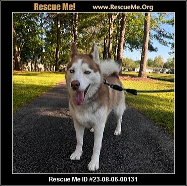 - South Carolina Dog Rescue - ADOPTIONS - Rescue Me!