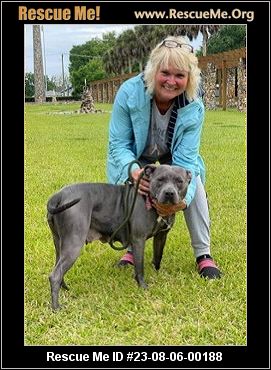 - Florida Pit Bull Rescue - ADOPTIONS - Rescue Me!