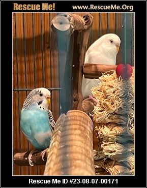 - Pennsylvania Pet Bird Rescue - ADOPTIONS - Rescue Me!