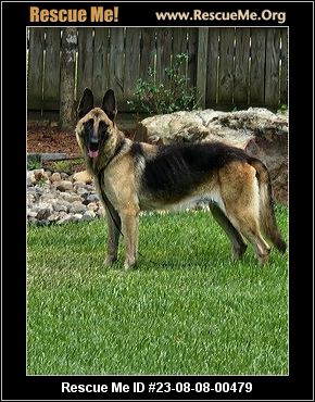 - Texas German Shepherd Rescue - ADOPTIONS - Rescue Me!