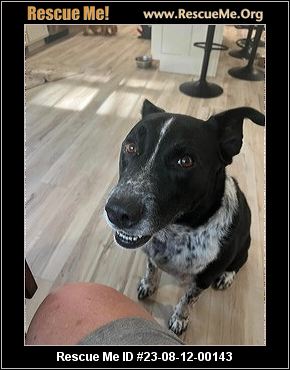 - Kansas Dog Rescue - ADOPTIONS - Rescue Me!